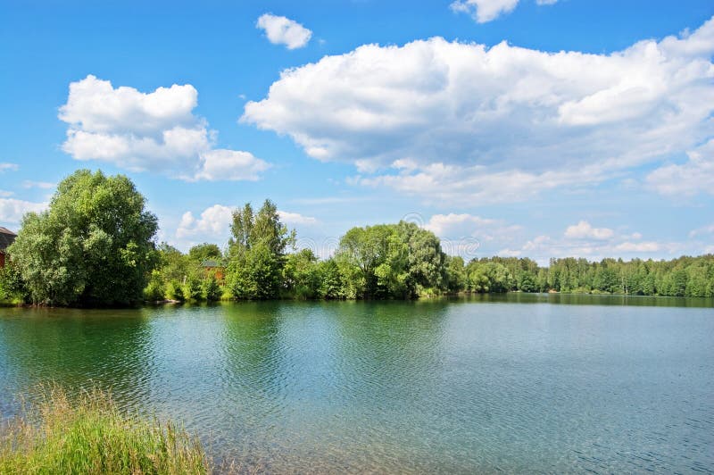 Wood lake stock photo. Image of landscape, park, sunlight - 21537526