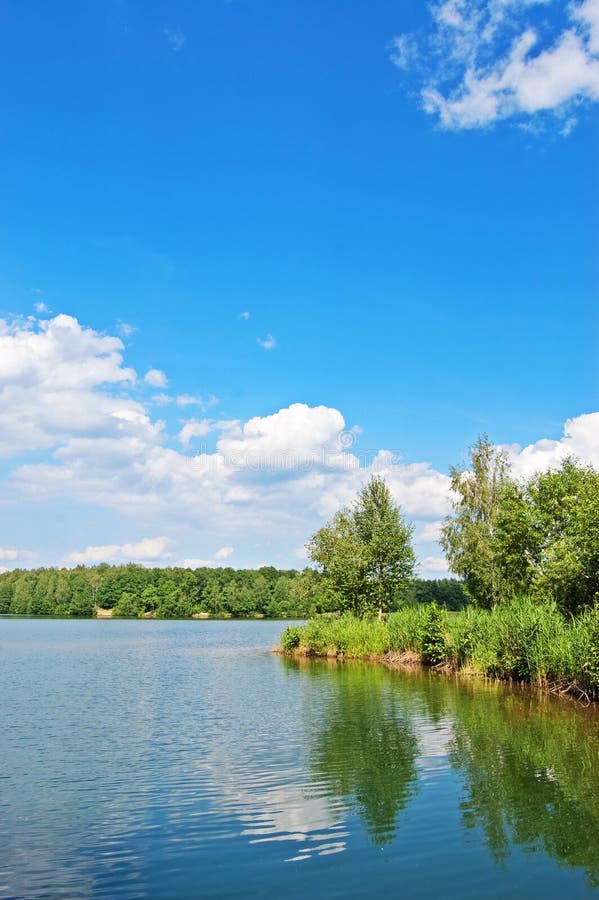 Wood lake stock image. Image of color, leaf, sunlight - 21537527