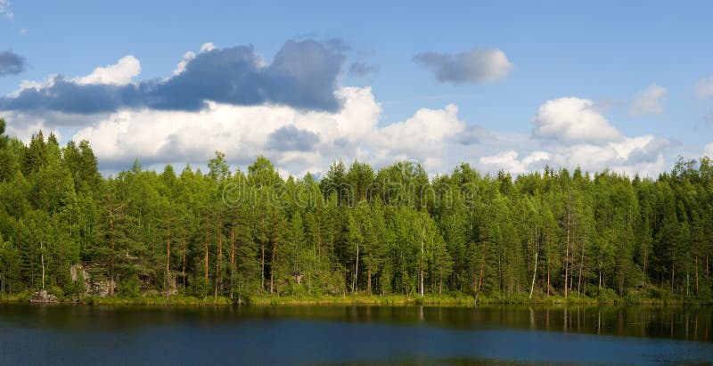 Wood lake stock image. Image of plant, beauty, scenics - 6317589