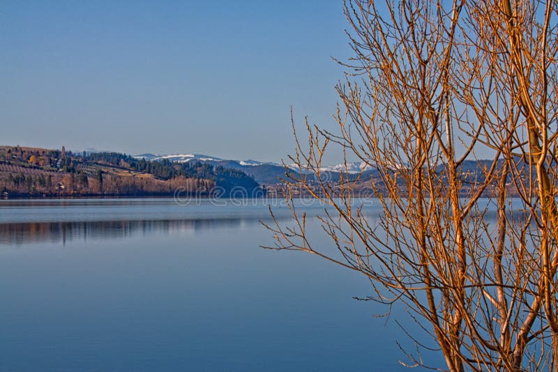 Wood Lake Landscape stock image. Image of tree, okanagan - 36027557