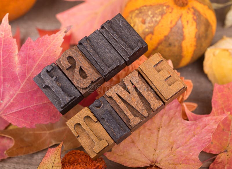Fall Time Text stock photo. Image of leaves, lettering - 98886994