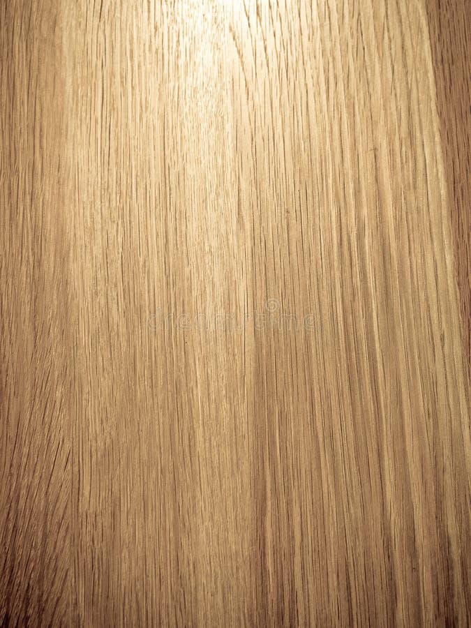 Wood Light Oak Texture stock image. Image of surface - 270387271
