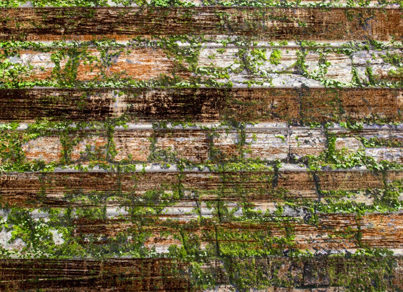 Wood Like Texture with Natural Patterns Stock Image - Image of exterior ...