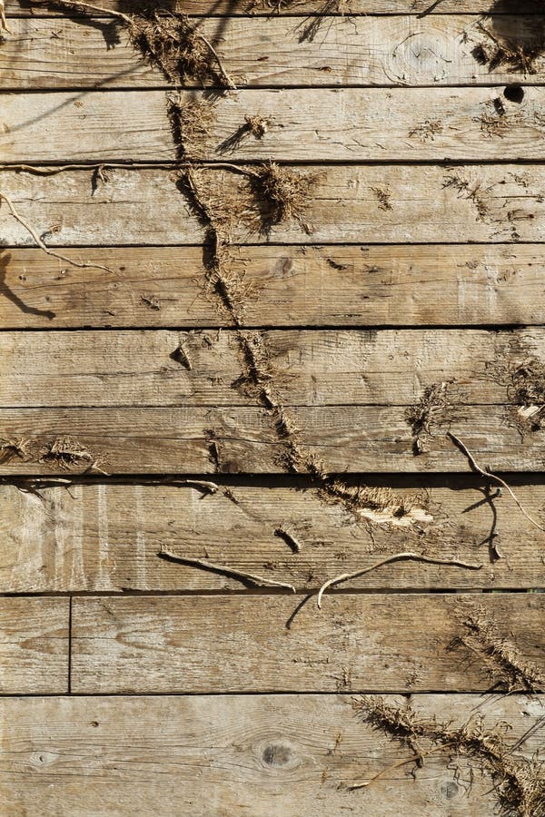 Wood line pattern stock image. Image of wallpaper, floor - 111266467
