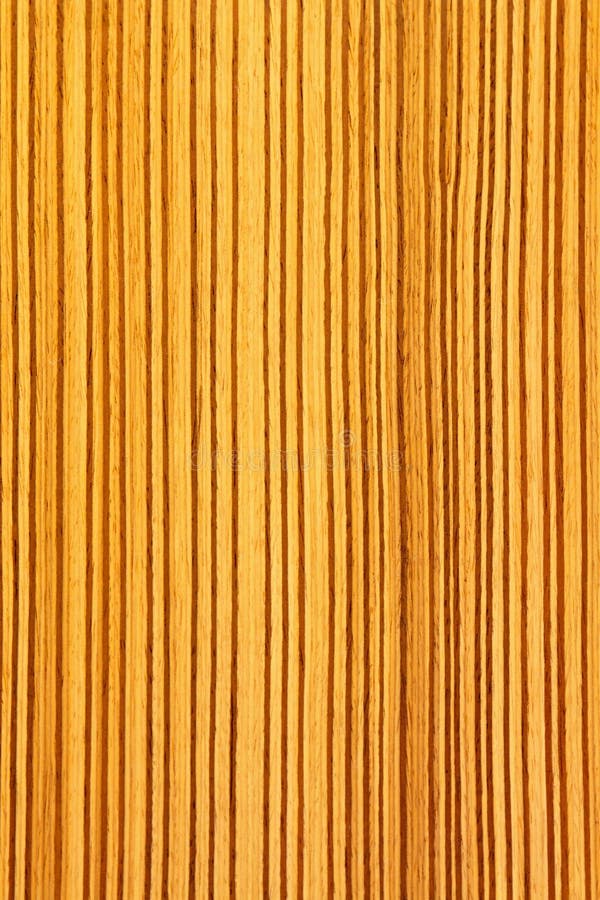 Wood lines stock photo. Image of texture, backdrop, lines - 22539304