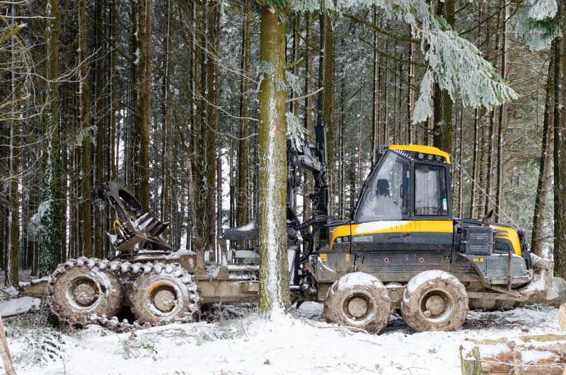 Wood Loader Grabbing Timber Piles Wide Shot Stock Image - Image of ...