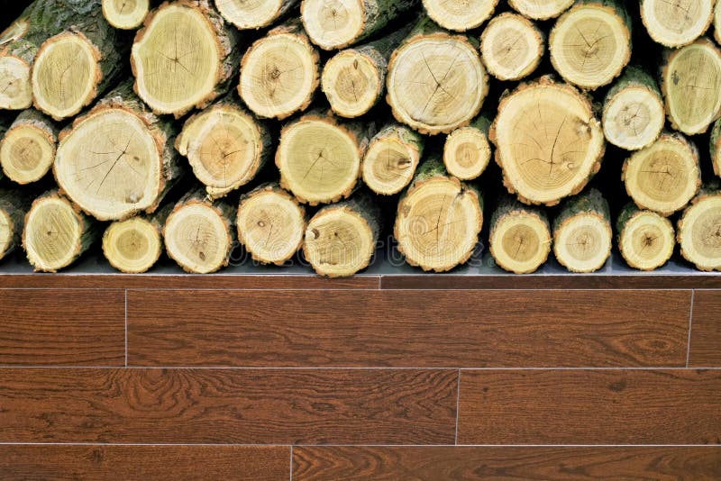 Wood and log stock photo. Image of firewood, tree, wood - 3990144