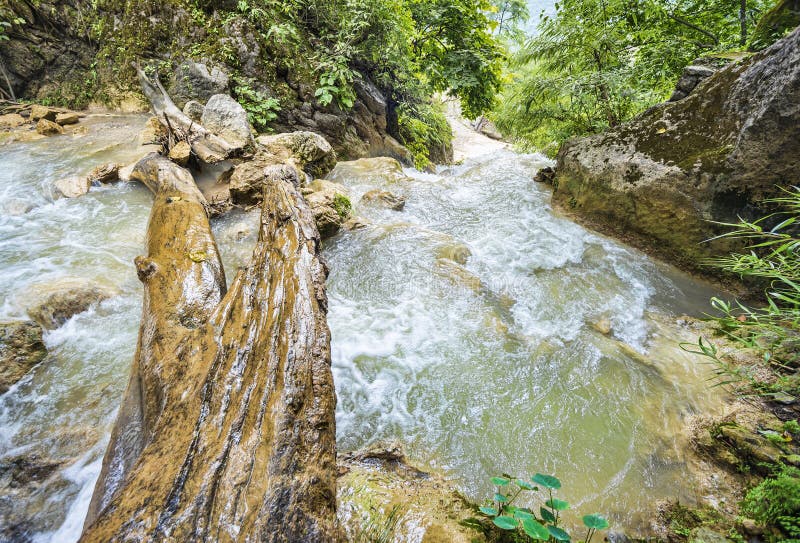 Log Across the River stock photo. Image of motion, glow - 49053448