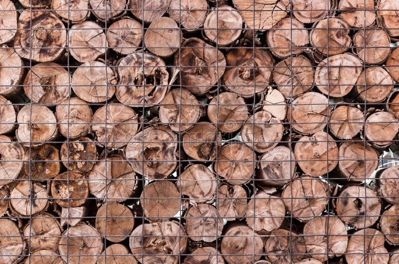 Wood log background stock photo. Image of wooden, wood - 47388794