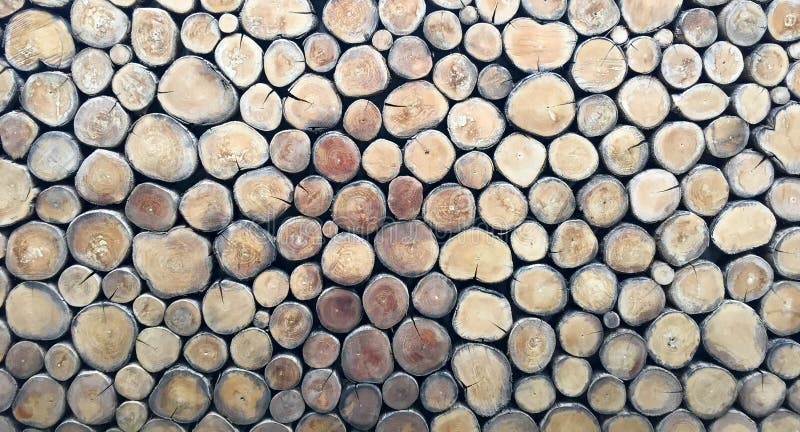 Wood Log Background Pattern Stock Image - Image of architecture, circle ...