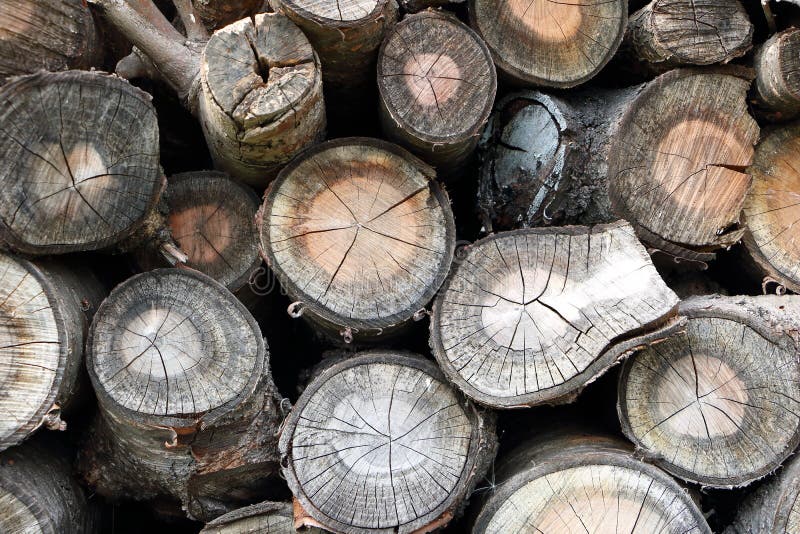 Wood Log Background with Weathered Look Stock Image - Image of circle ...