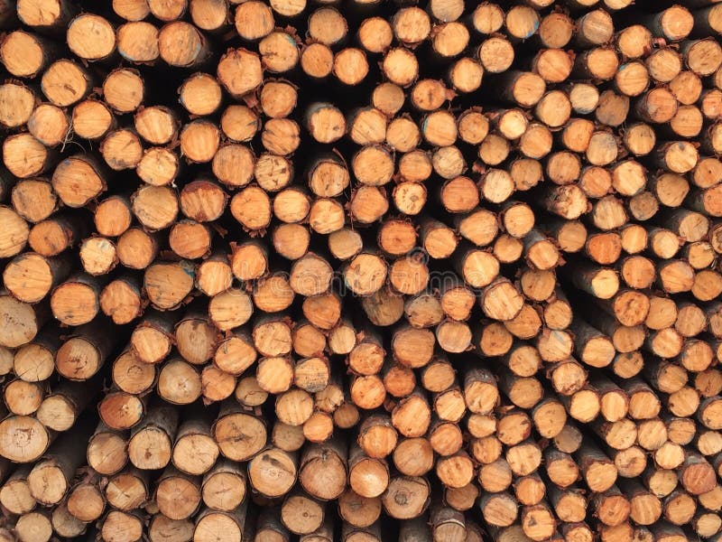 Wood log bundle group stock photo. Image of wood, group - 76340018