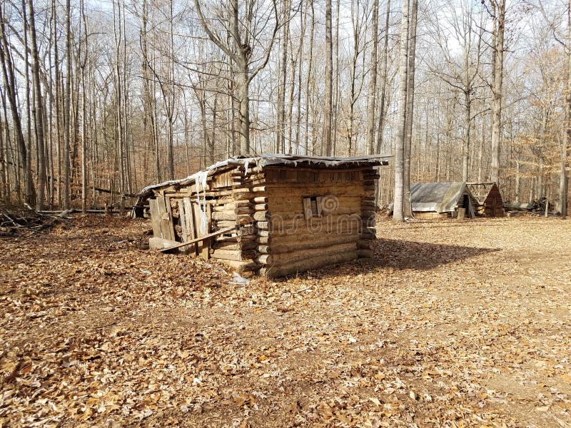 Wood or Log Cabin or Structure in the Forest or Woods Stock Image ...