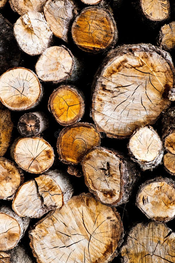 Cut Log Stack Background Picture Stock Photo - Image of stack, brown ...