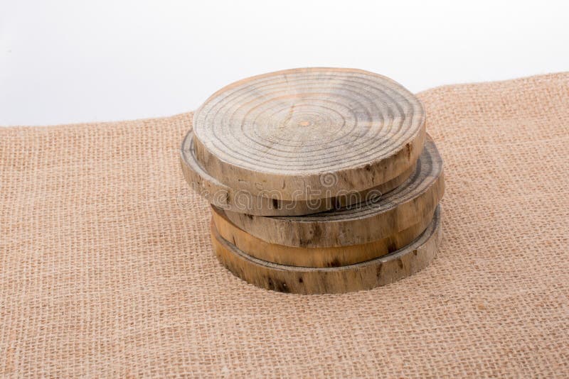 Wood Log Cut in Round Thin Pieces Stock Image - Image of forest, plant ...