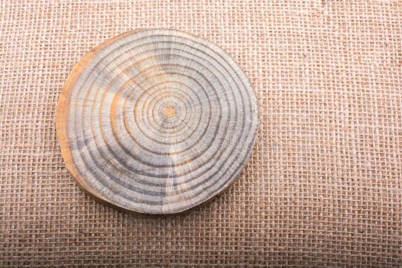 Wood Log Cut in Round Thin Pieces Stock Image - Image of abstract ...