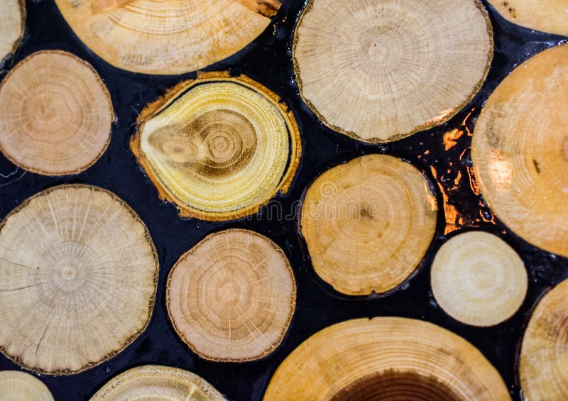 Wood Log Cut in Round Thin Pieces Stock Image - Image of nature, pine ...