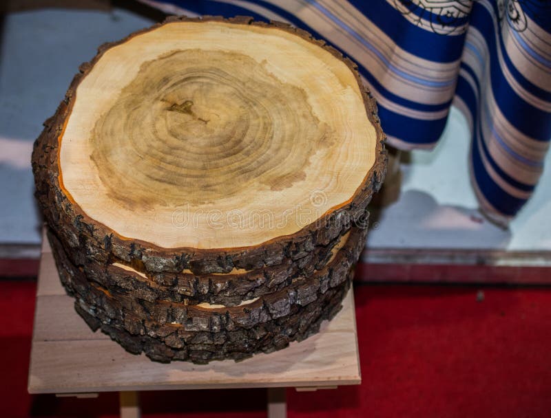 906 Thin Log Stock Photos - Free & Royalty-Free Stock Photos from ...