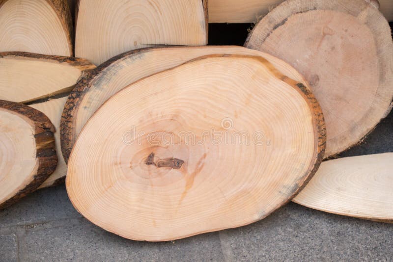 906 Thin Log Stock Photos - Free & Royalty-Free Stock Photos from ...