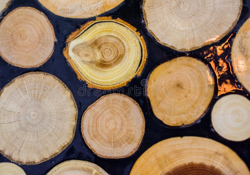 Wood Log Cut in Round Thin Pieces Stock Photo - Image of slice, pine ...