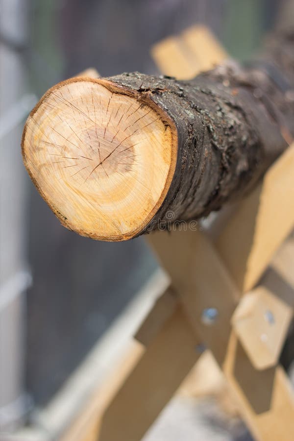 Wood log cutting stock image. Image of cutting, heavy - 73416845