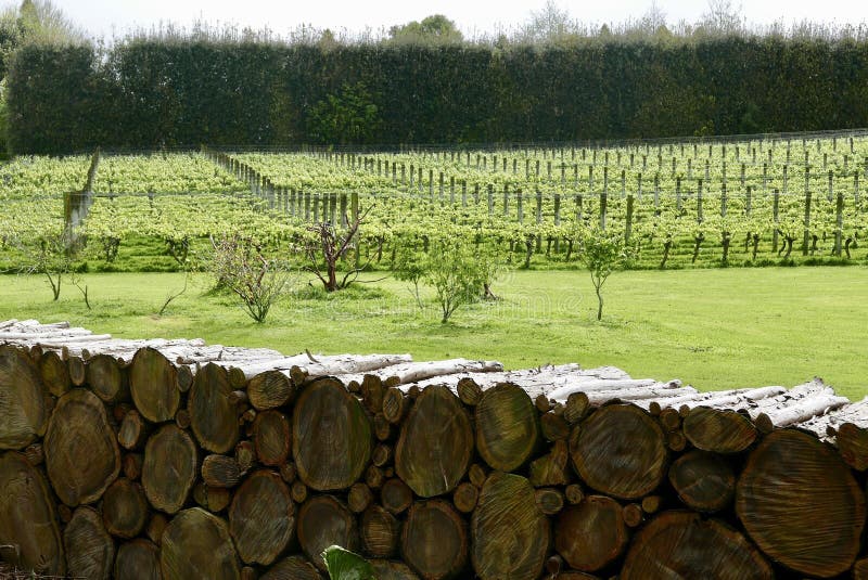 Wood Log Fence with View Over Vineyard Stock Image - Image of garden ...