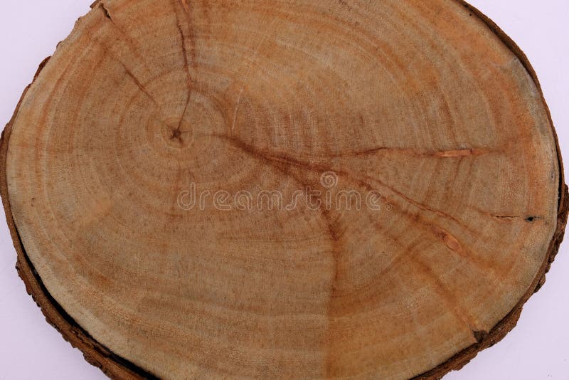 Wood Log Grain Pattern stock image. Image of history - 233535973