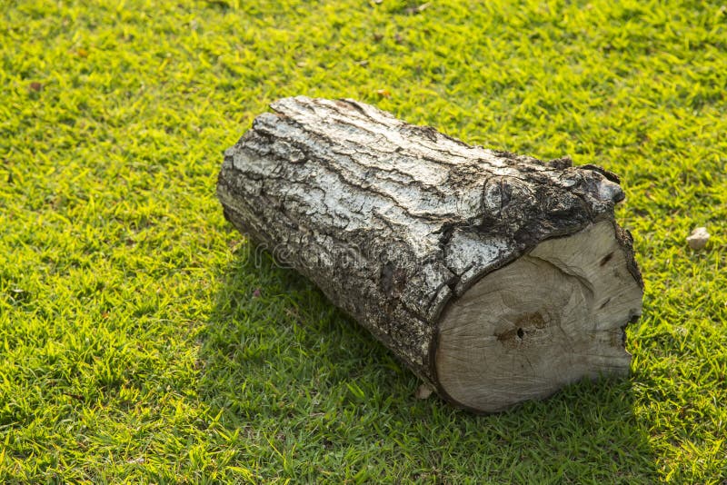 Wood log on green grass stock image. Image of seat, bench - 99663331