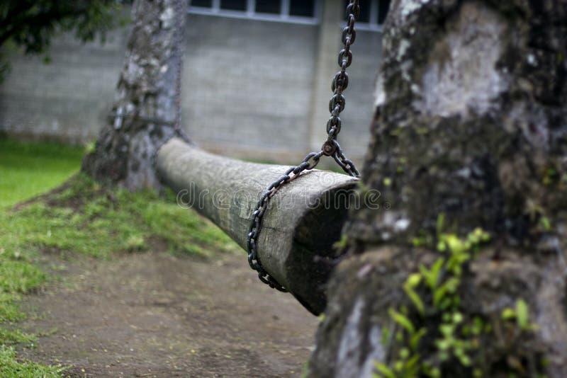 Wood Log Hopping Crossing with Chains Stock Image - Image of green ...
