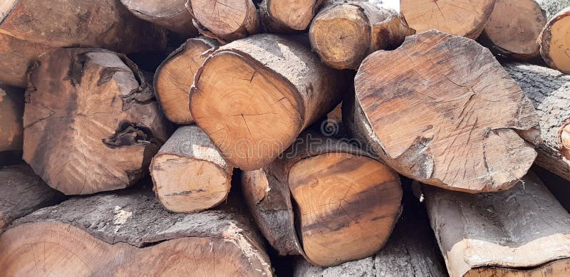 Wood Log Ina Specific Posiion Stock Photo - Image of size, specific ...