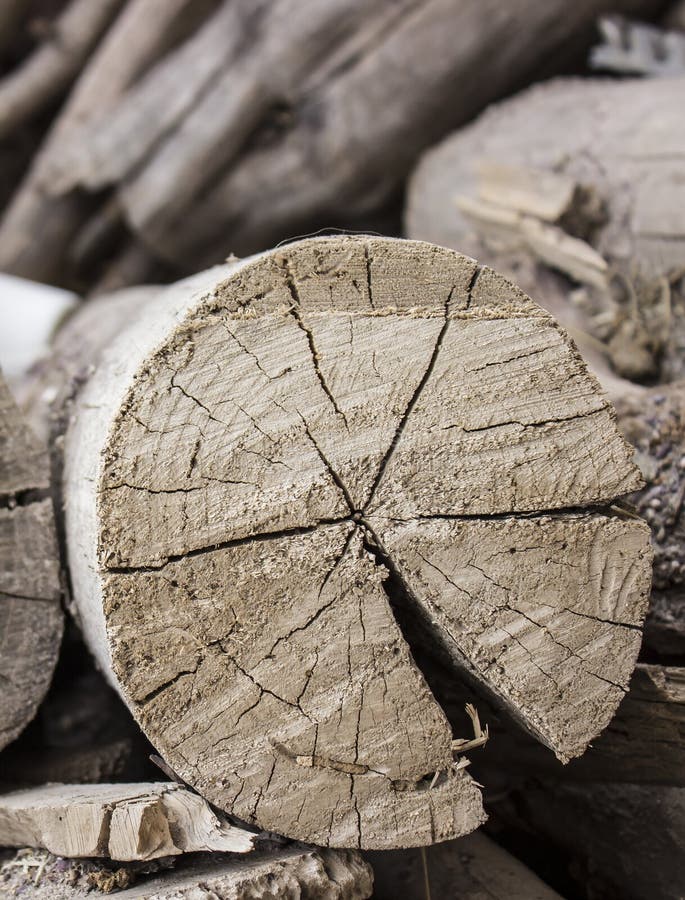 Wood Log stock photo. Image of rural, carpenter, lumber - 60720492