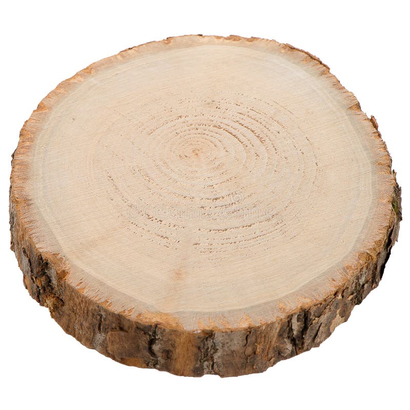 Wood log slice stock photo. Image of trunk, pine, circle - 98901920