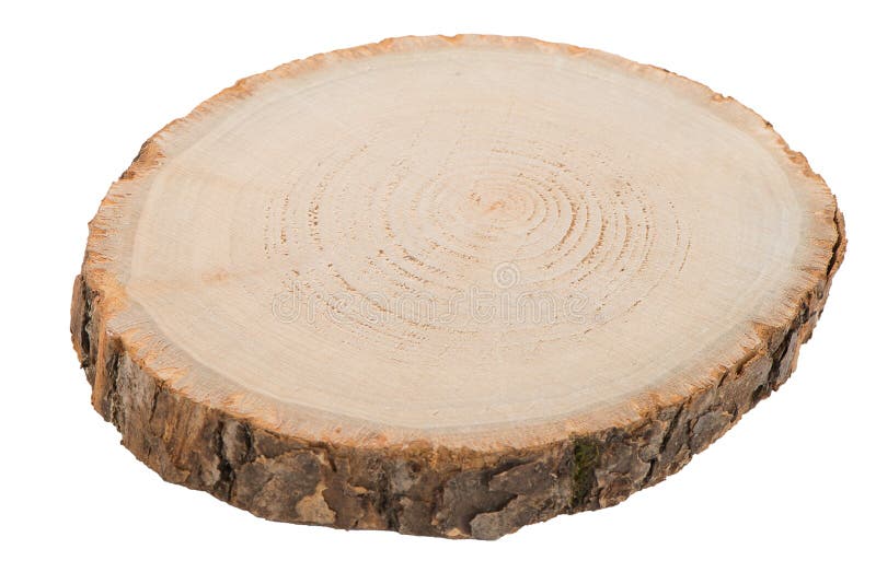Wood log slice stock photo. Image of trunk, pine, circle - 98901920