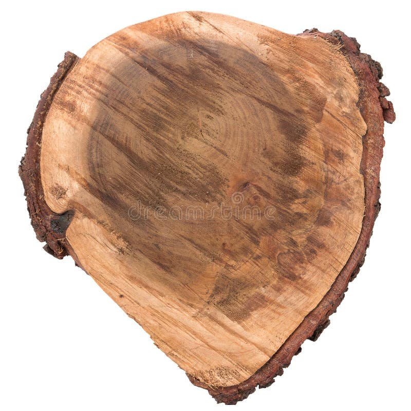 Wood log slice stock photo. Image of trunk, pine, circle - 98901920