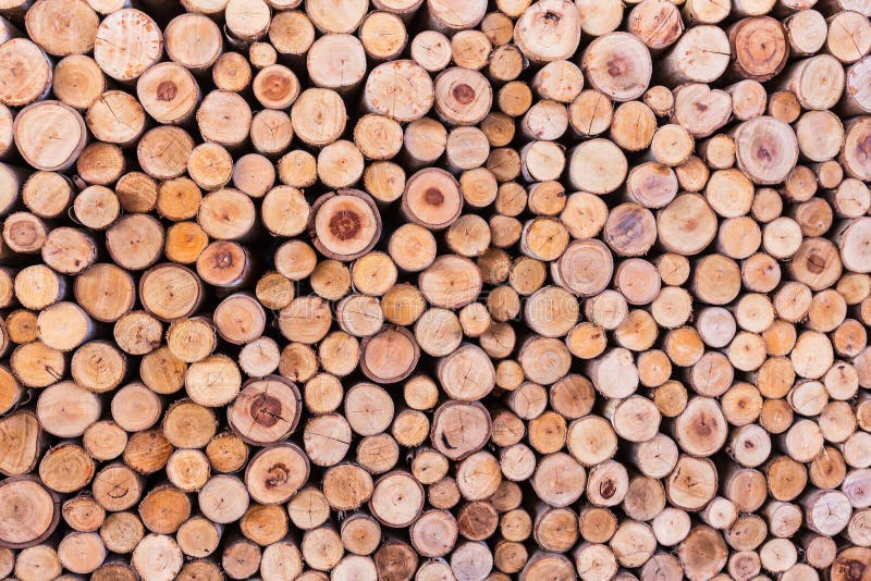 Wood Log Texture Background Stock Image - Image of timber, texture ...