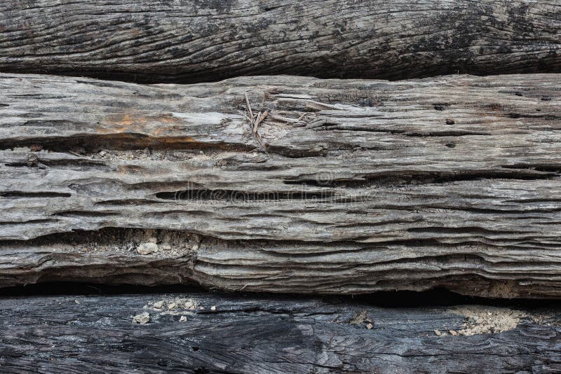 Wood Log Texture Background with Shade. Stock Image - Image of house ...