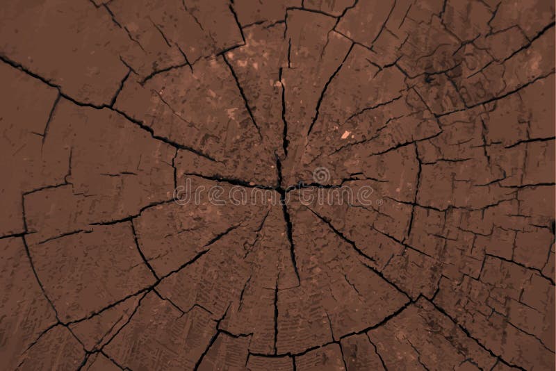 Log Top View Stock Illustrations – 332 Log Top View Stock Illustrations ...