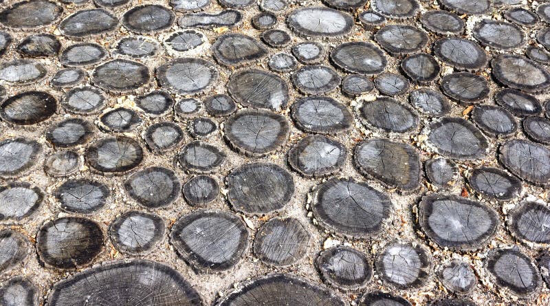 Wood Log Tiled Ground Texture Stock Image - Image of bark, lumber ...