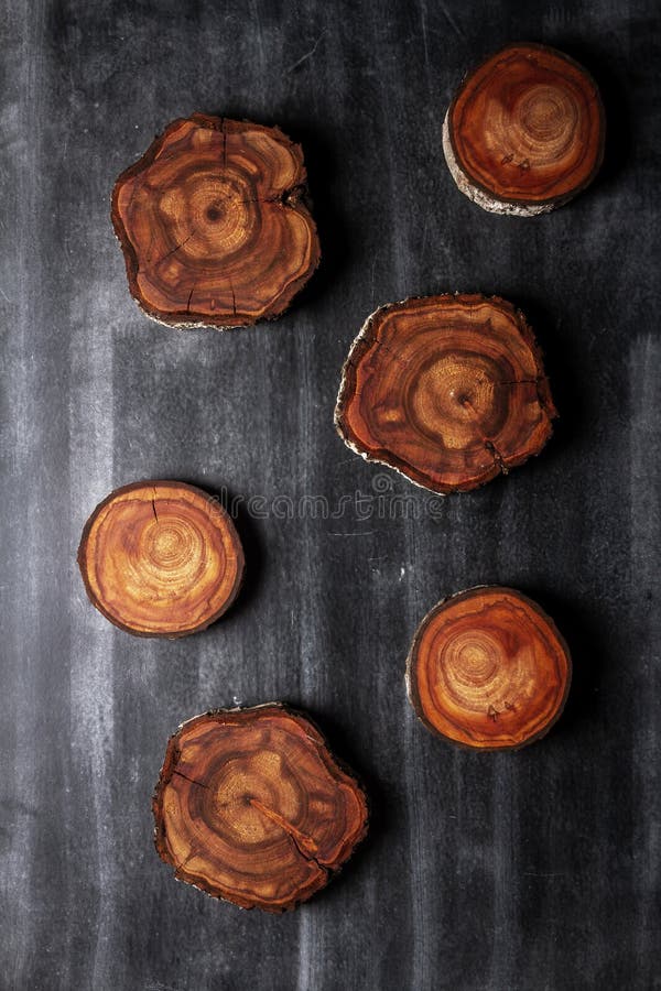 Wood Log Tree Slices on Chalkboard Stock Image - Image of black ...