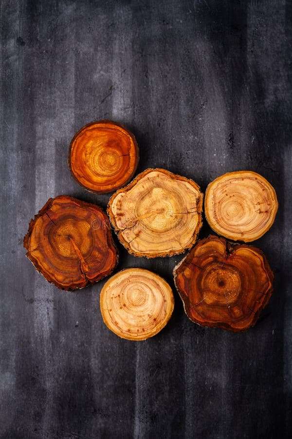 Wood Log Tree Slices on Chalkboard Stock Photo - Image of black ...