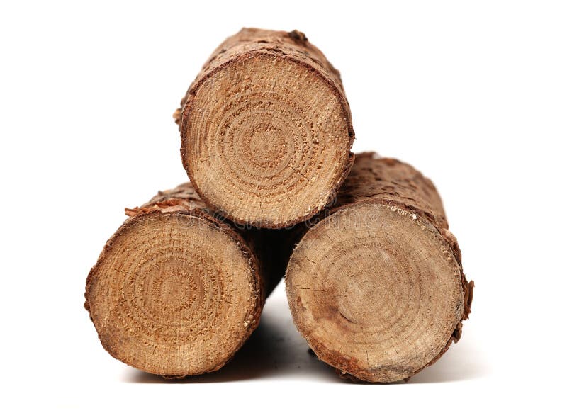 Single log stock photo. Image of single, lumber, bark - 28523244