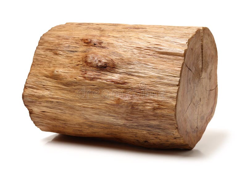 Wood log stock image. Image of wood, birch, environment - 122871501