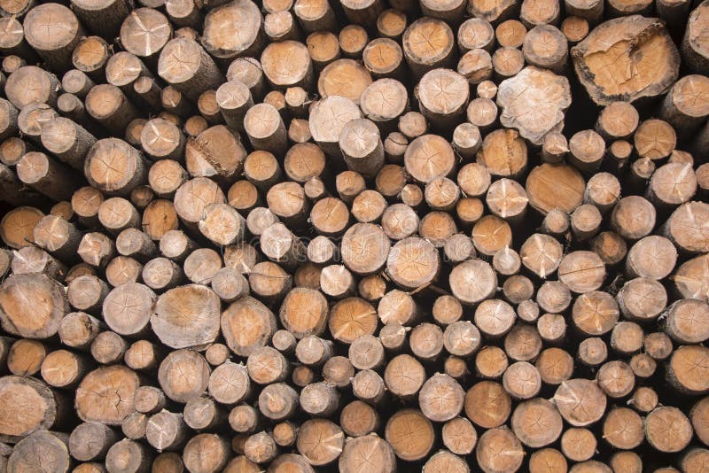 Wood log stock photo. Image of firewood, grain, color - 104126940