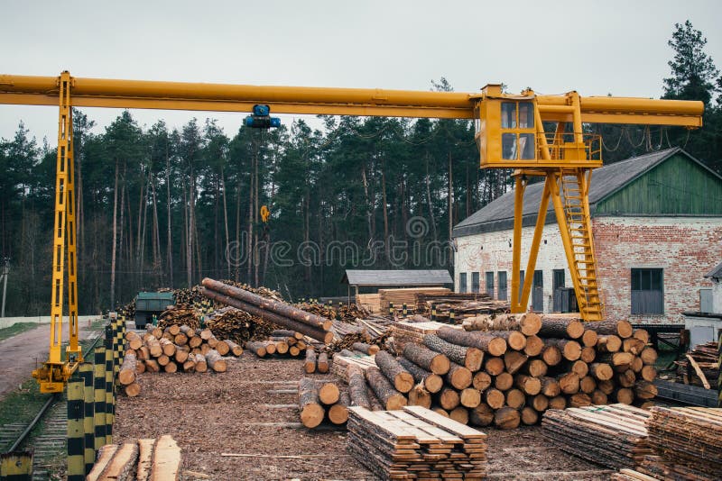 Wood Logging, Sorting, Transportation and Processing on Sawmill Stock ...