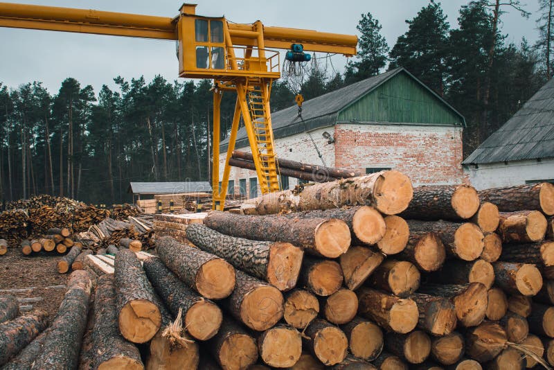 Wood Logging, Sorting, Transportation and Processing on Sawmill Stock ...