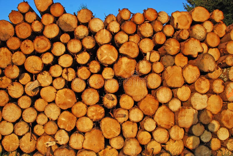 Wood logs stock image. Image of green, blue, logs, region - 56652825