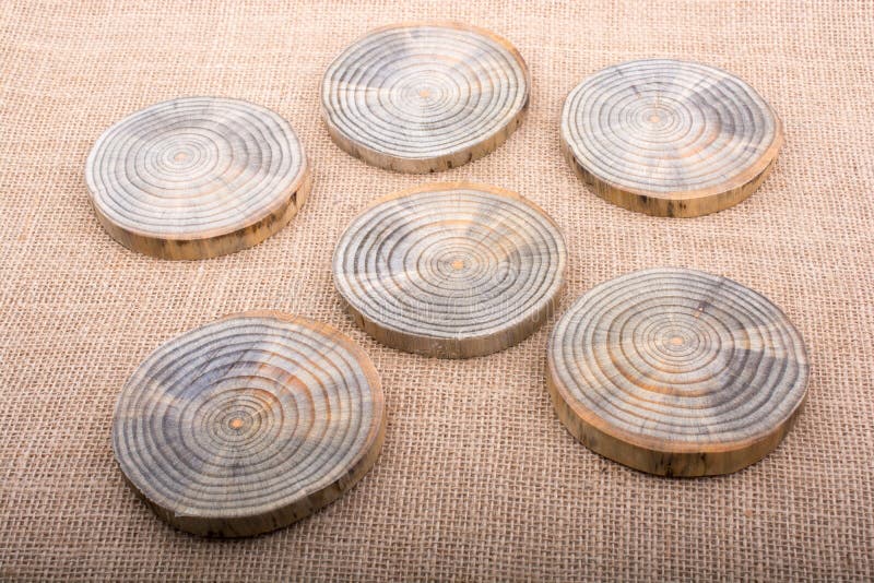 Wood Logs Cut in Round Thin Pieces Stock Photo - Image of nature ...