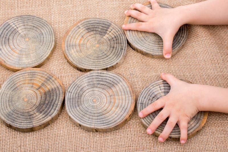 Wood Logs Cut in Round Thin Pieces Stock Image - Image of lumber ...