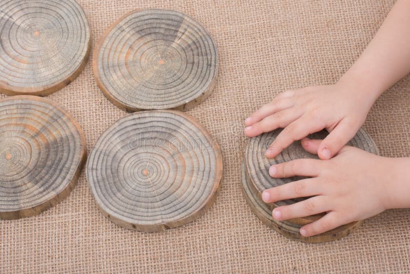 Wood Logs Cut in Round Thin Pieces Stock Image - Image of hand, nature ...
