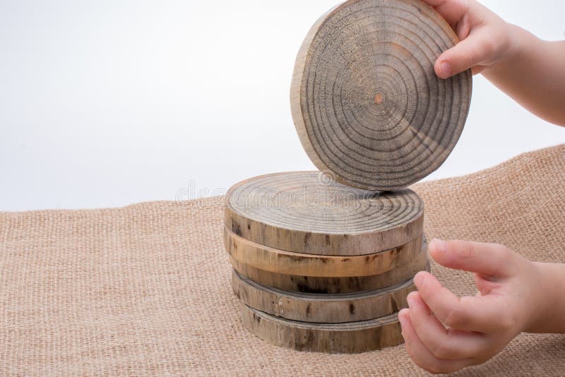 Wood Logs Cut in Round Thin Pieces Stock Image - Image of life, hand ...